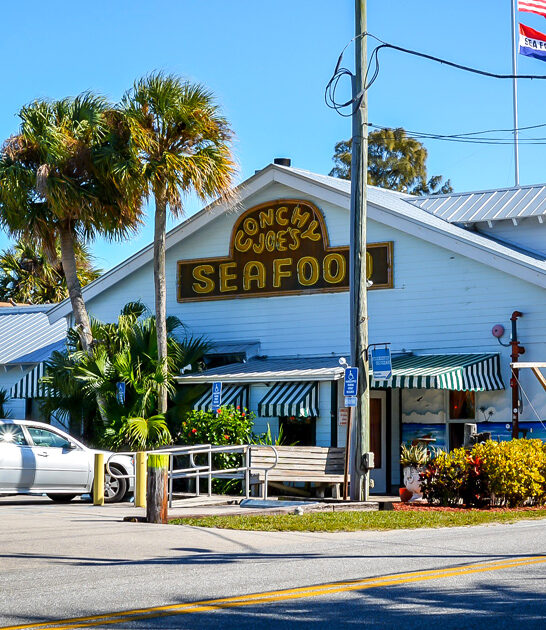 mahi sandwich seafood florida ftr