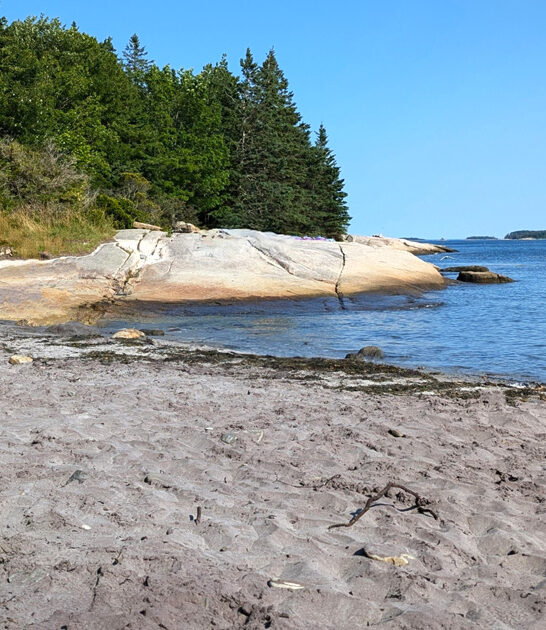 maine dreamy park trails ftr