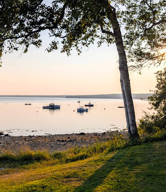 maine hidden nature park ftr