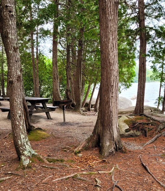 maine park worry free ftr