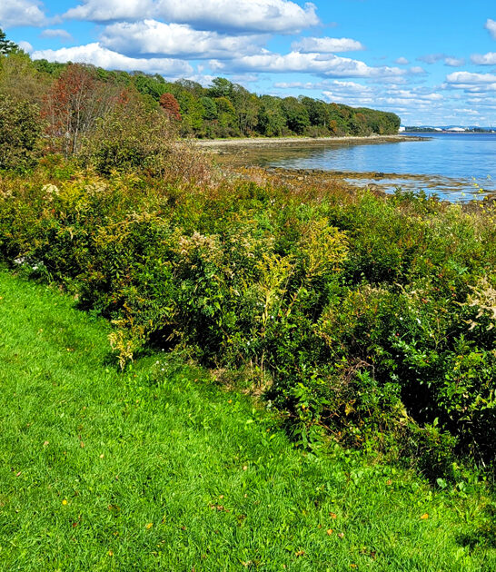 maine state park nature ftr