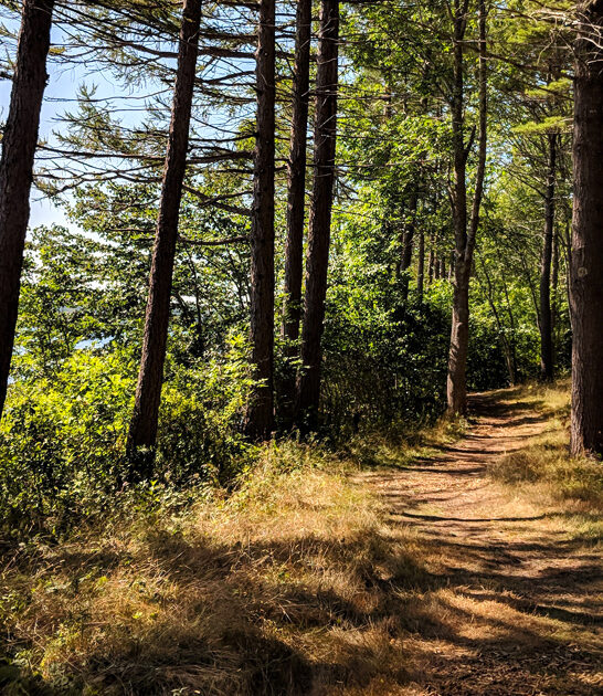 maine stress relief park ftr