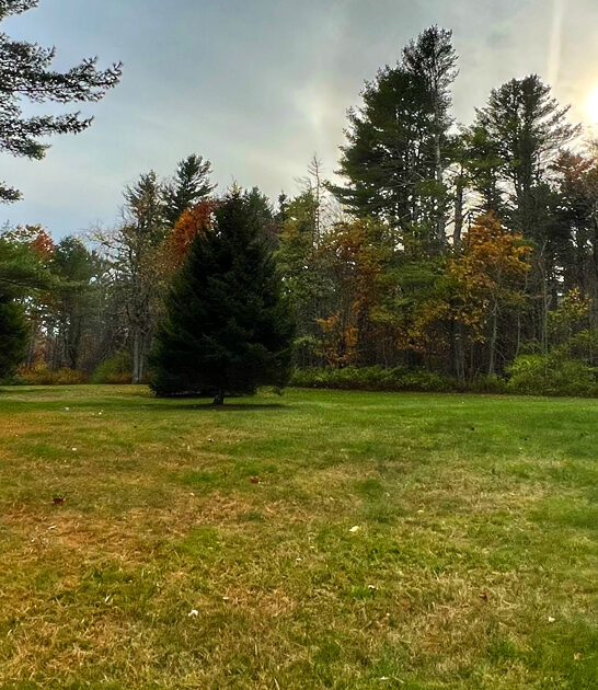 maine wilderness park experience ftr