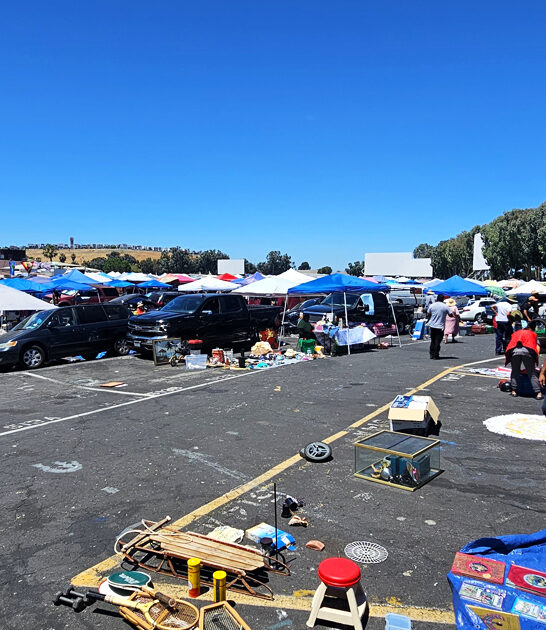 market drive california flea ftr