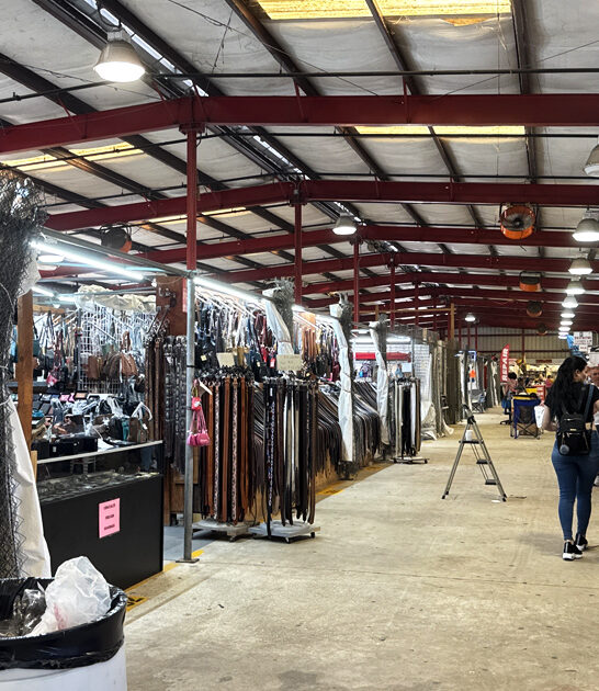 market florida buys more ftr