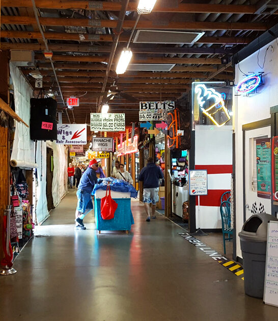 market florida massive flea ftr