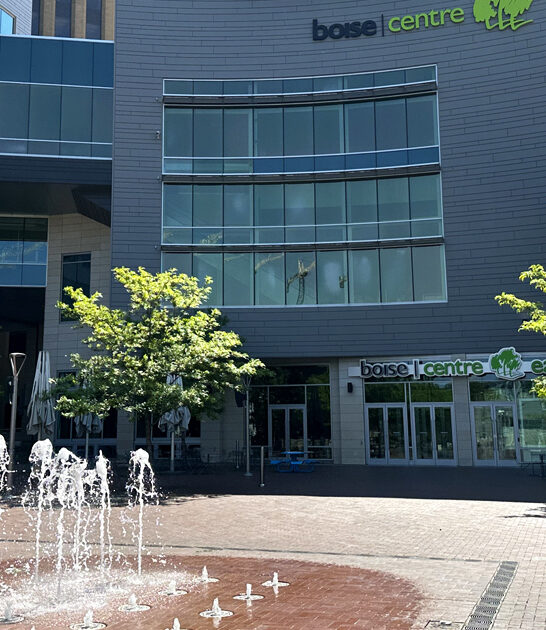 market idaho rare finds ftr