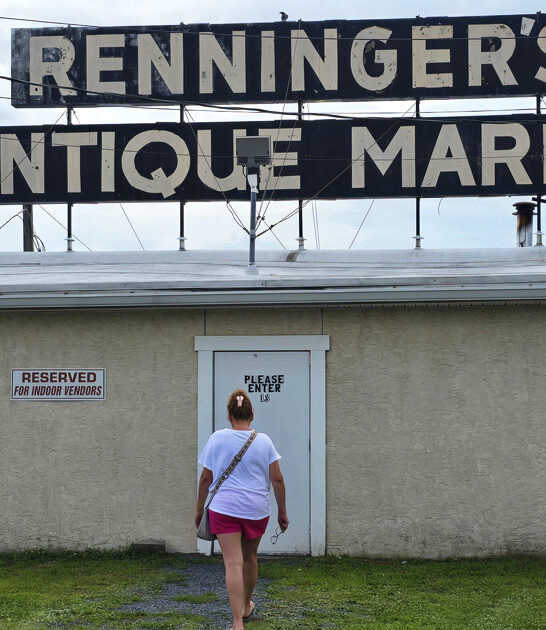 market massive pennsylvania flea ftr