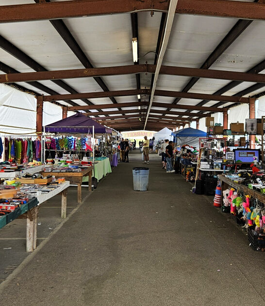 market mississippi whole trunk ftr