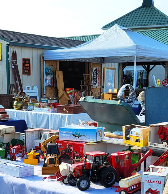 market pennsylvania massive flea ftr