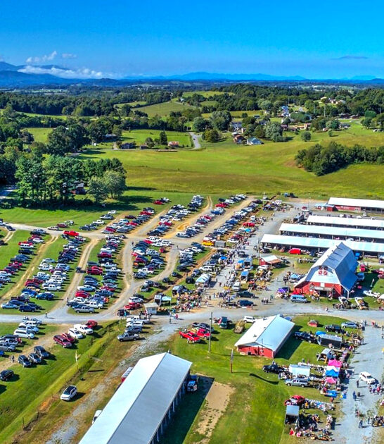 market tennessee flea expect ftr