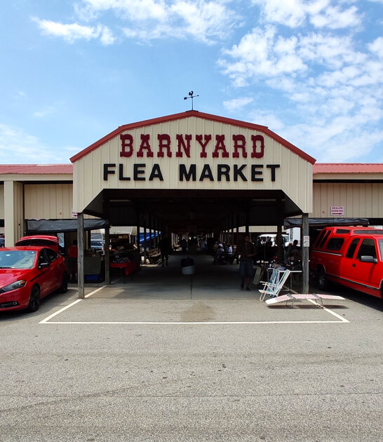 markets gigantic south carolina ftr