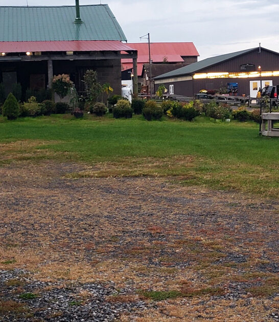 markets pennsylvania flea enormous ftr