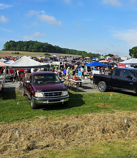 markets pennsylvania huge flea ftr