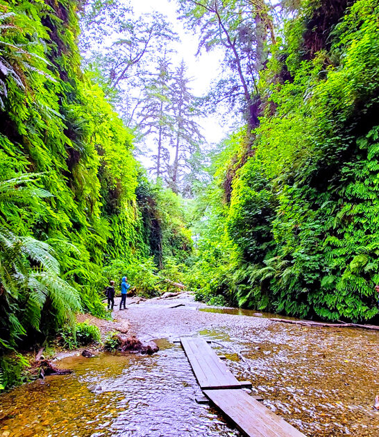 marvelous picturesque park california ftr