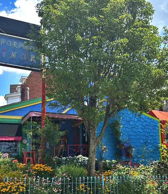 maryland funky restaurant toast ftr