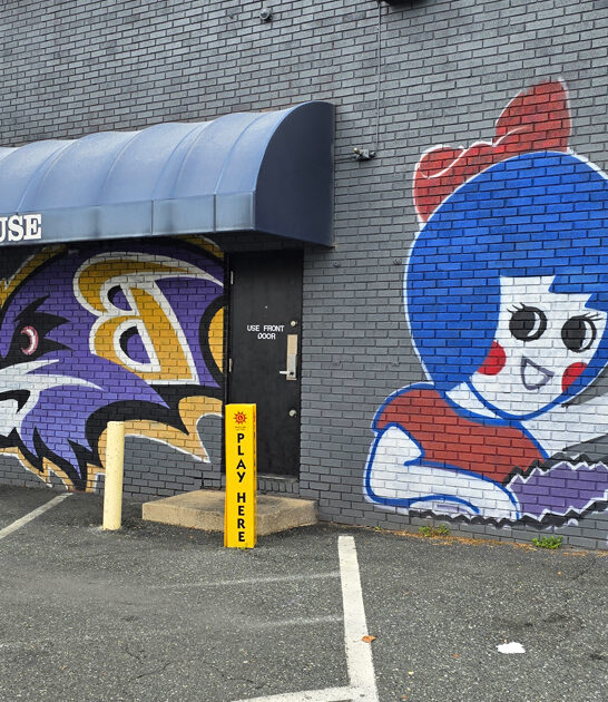 maryland steamed crabs trip ftr