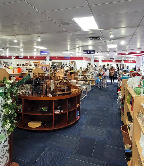 maryland thrift bargains galore ftr