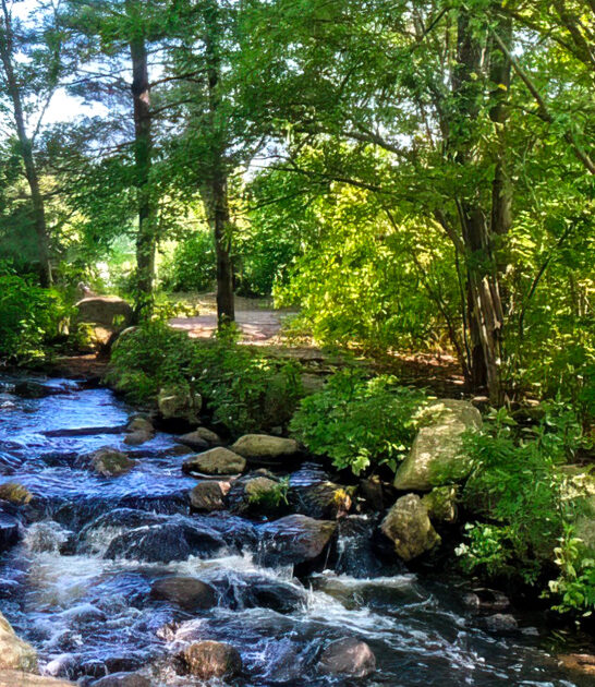 massachusetts dreamy nature escape ftr