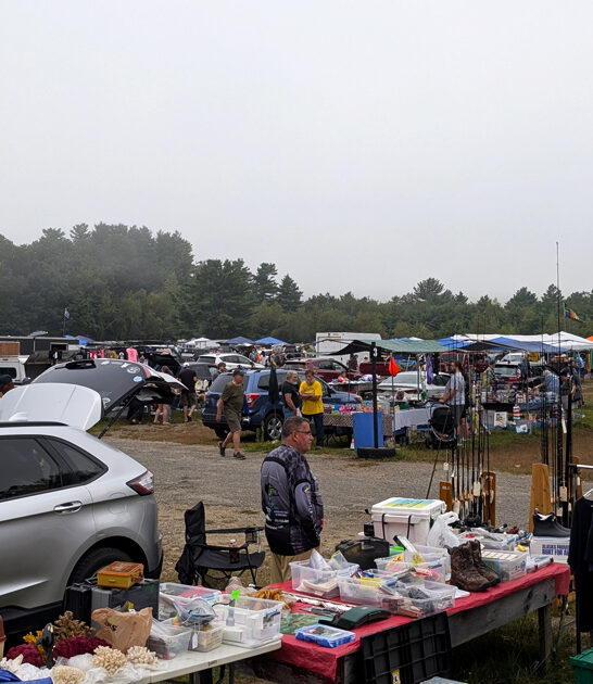 massachusetts gigantic swap meet ftr