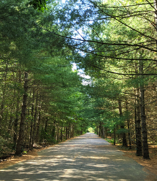 massachusetts picturesque serene park ftr
