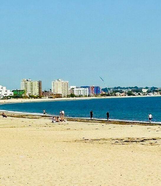 massachusetts postcard worthy beach ftr