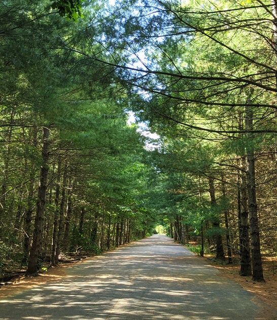 massachusetts scenic state park ftr
