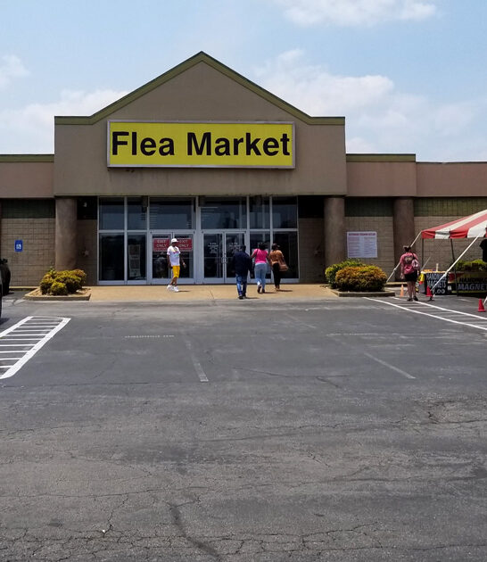massive bazaar georgia good ftr