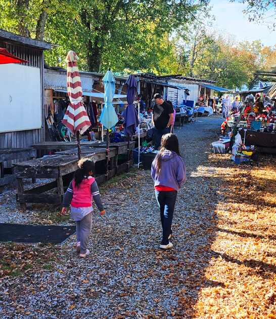 massive bazaar tennessee good ftr