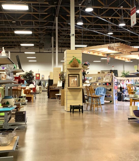 massive cheap arizona store ftr