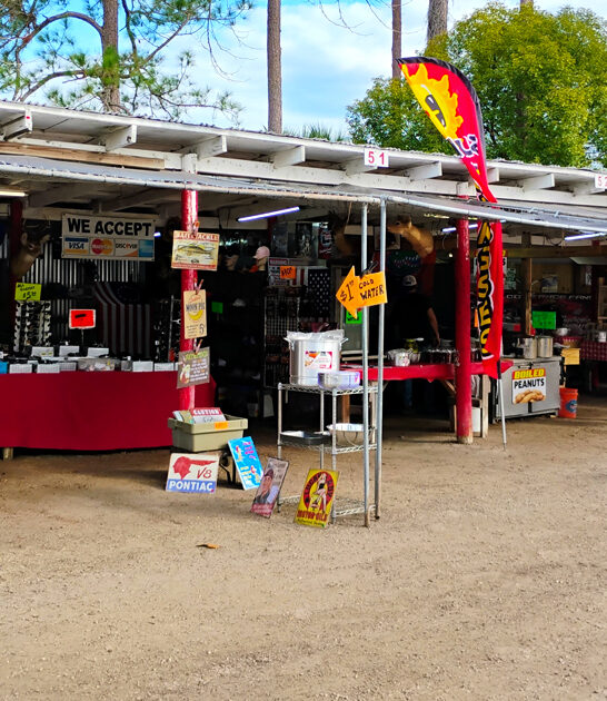 massive flea florida goes ftr