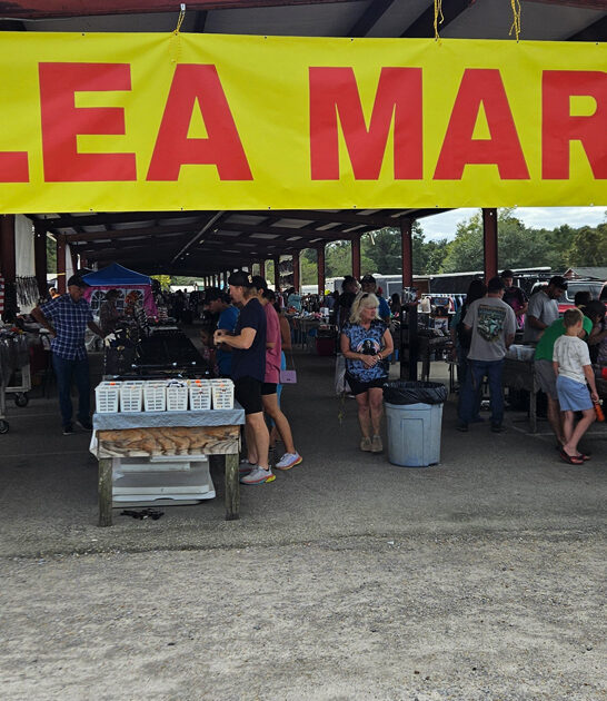 massive flea mississippi market ftr