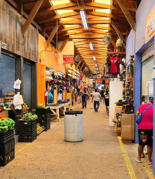 massive flea texas fills ftr