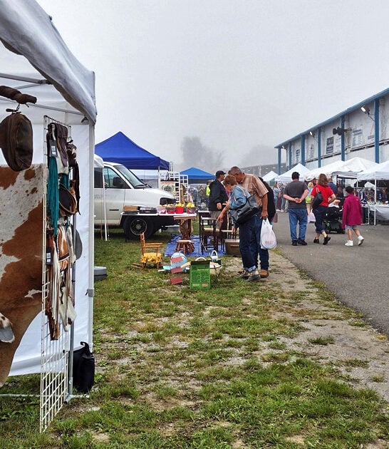 massive flea virginia hunters ftr