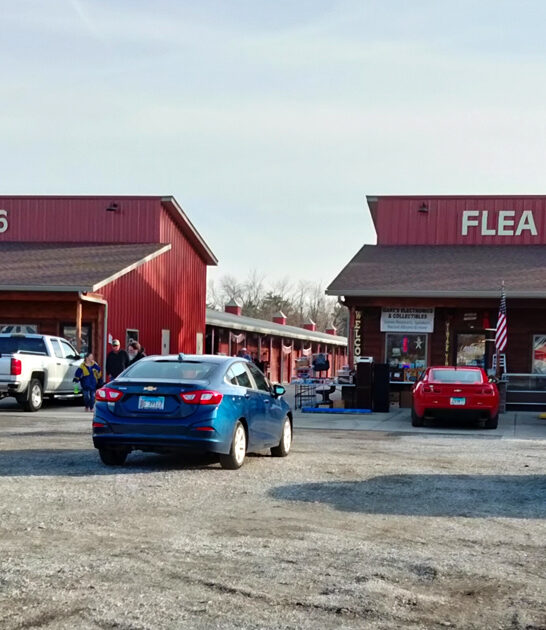 massive markets flea illinois ftr