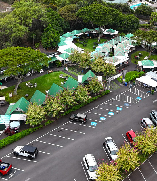 massive meet hawaii bargains ftr