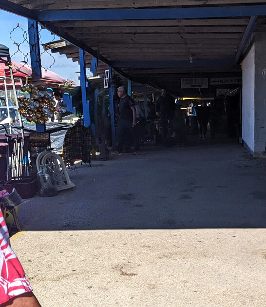 massive meet texas bargains ftr