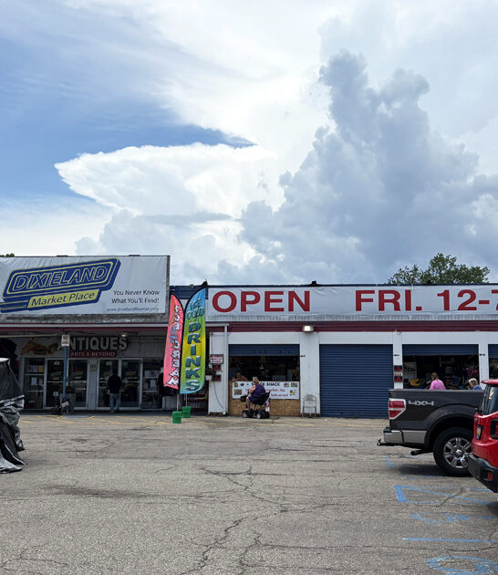 massive michigan bargain market ftr