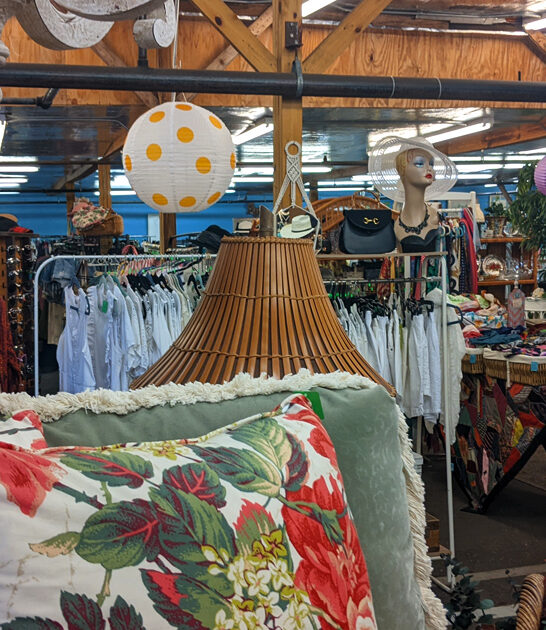 meet florida bargain hunters ftr