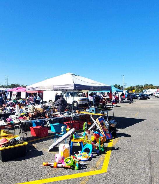 meet maryland market exploration ftr
