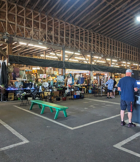 meet massive florida swap ftr