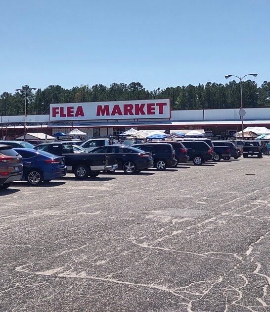 meet north carolina bargain ftr