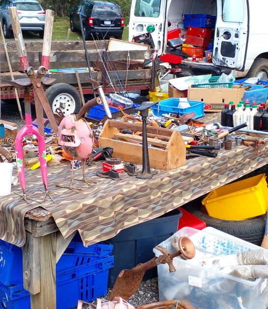 meet swap south carolina ftr