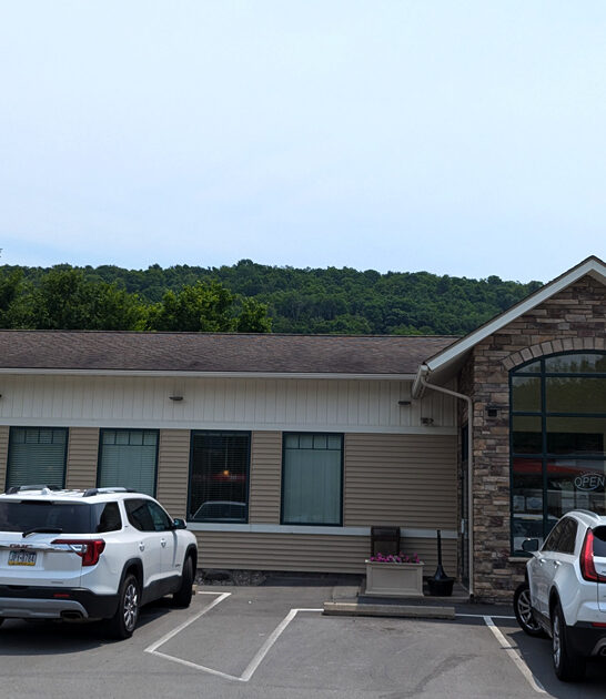 meringue lemon pennsylvania unassuming ftr