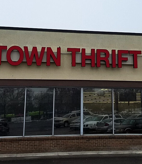 michigan gigantic thrift stores ftr