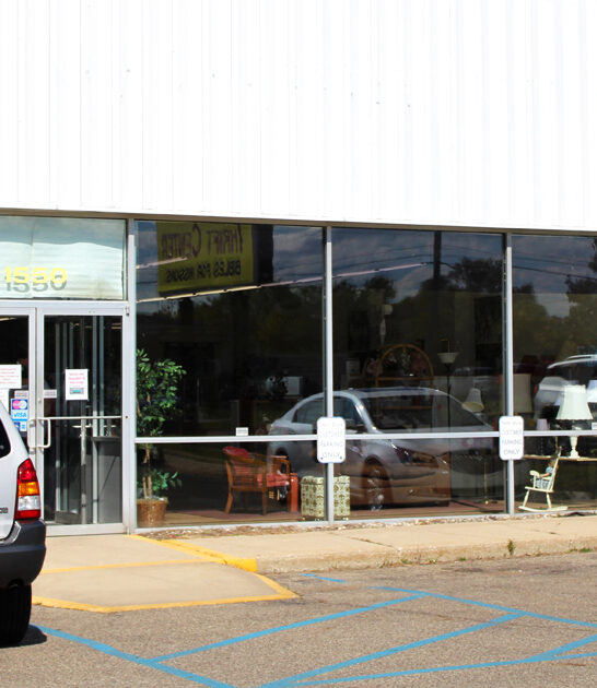 michigan huge thrift shop ftr