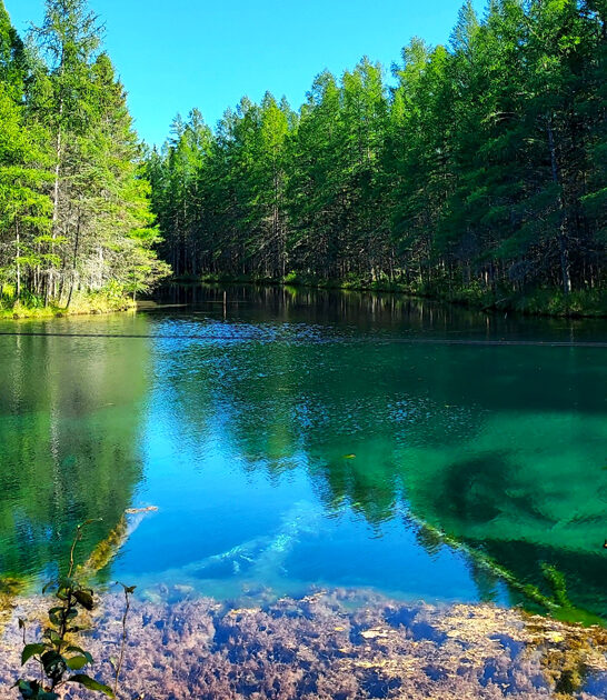 michigan state parks adventure ftr