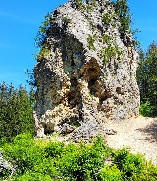 michigan state parks getaway ftr