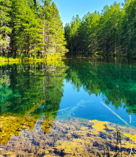 michigan state parks visit ftr