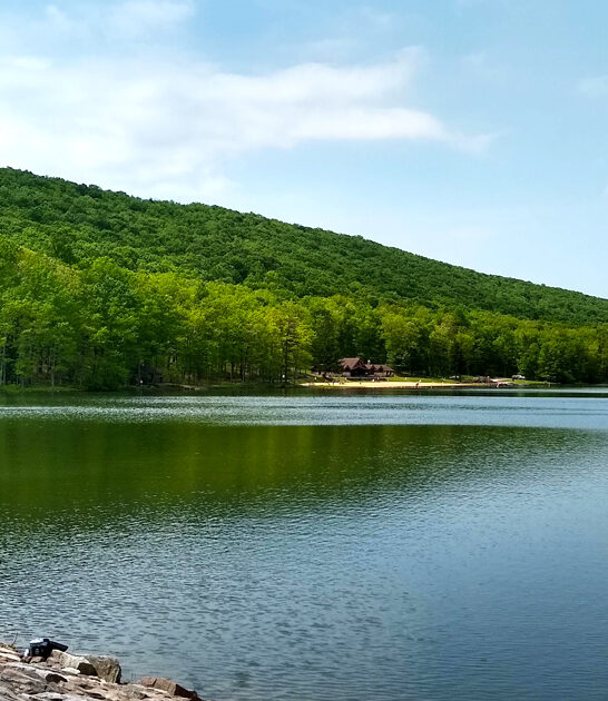 middle pennsylvania state park ftr